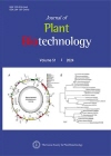 Astaxanthin Biosynthesis in Transgenic Arabidopsis by Using Chyb Gene ...